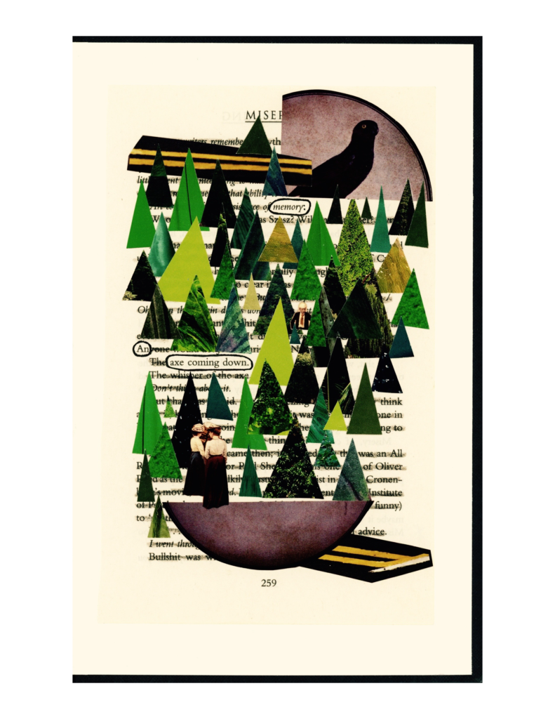 6 Styles of Erasure Poetry – guest blog post by Erin Dorney – Trish ...