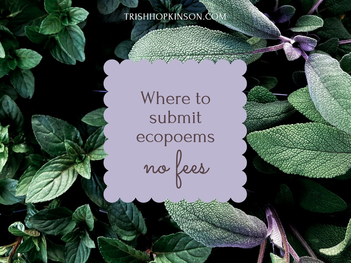 35+ lit mags/journals for ecopoems (no fees/some paying) – Trish Hopkinson